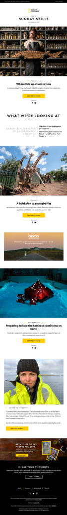 Sunday Stills: Where the fish are stuck in time, a bold plan to save ...